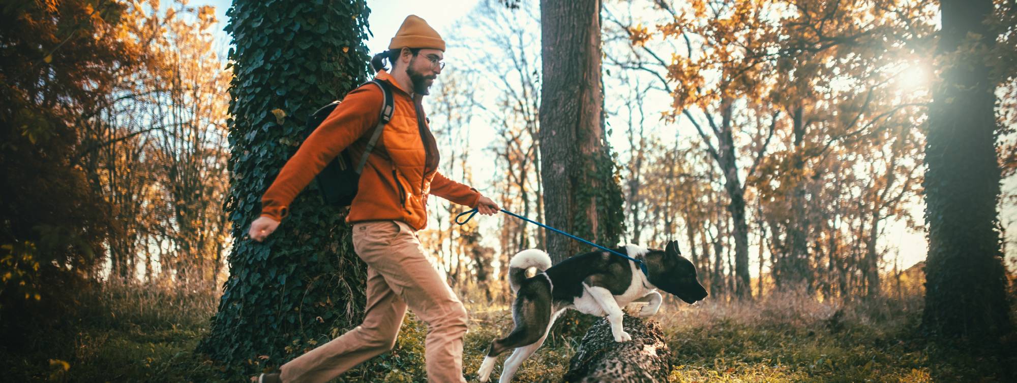 Randonner avec son chien